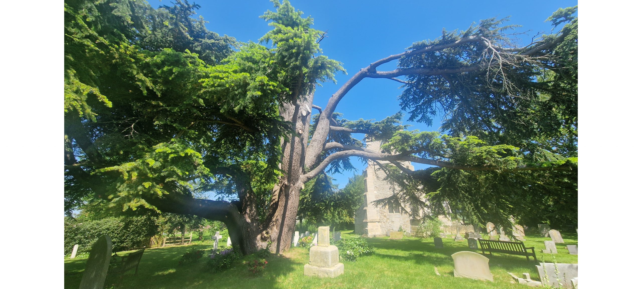 Thurlby - Medieval Standing Crosses of Lincolnshire