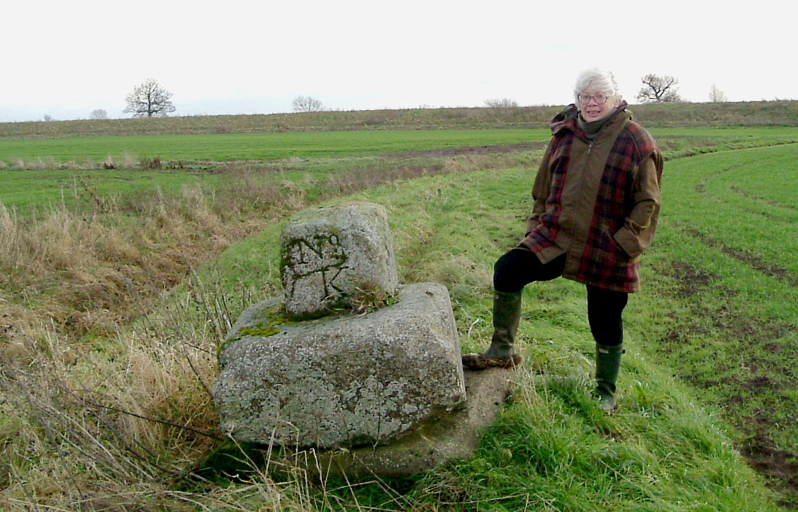 Crowland (3) - Kenulph's Cross - Medieval Standing Crosses of Lincolnshire